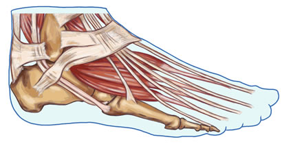 Zašto nastaju grčevi u stopalima i 8 vježbi za stopala | Fitness.com.hr