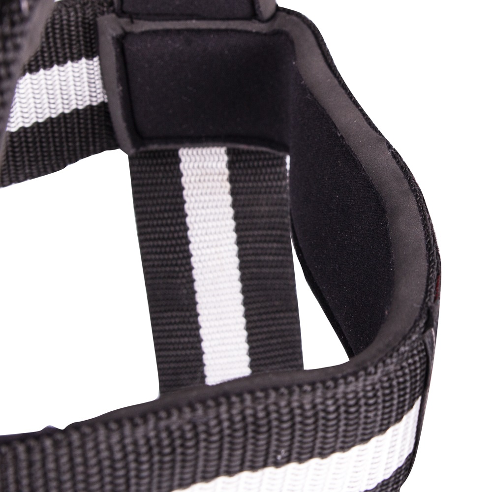 Head Strap Insportline Exetiza | Fitness.com.hr Web Shop